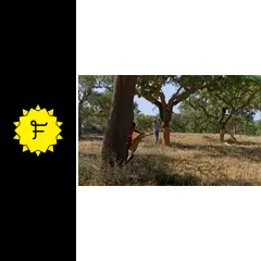 季節 - 映画情報・レビュー・評価・あらすじ | Filmarks映画