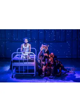 ナショナル・シアター・ライブ「ライフ・オブ・パイ」 - 映画情報・レビュー・評価・あらすじ | Filmarks映画